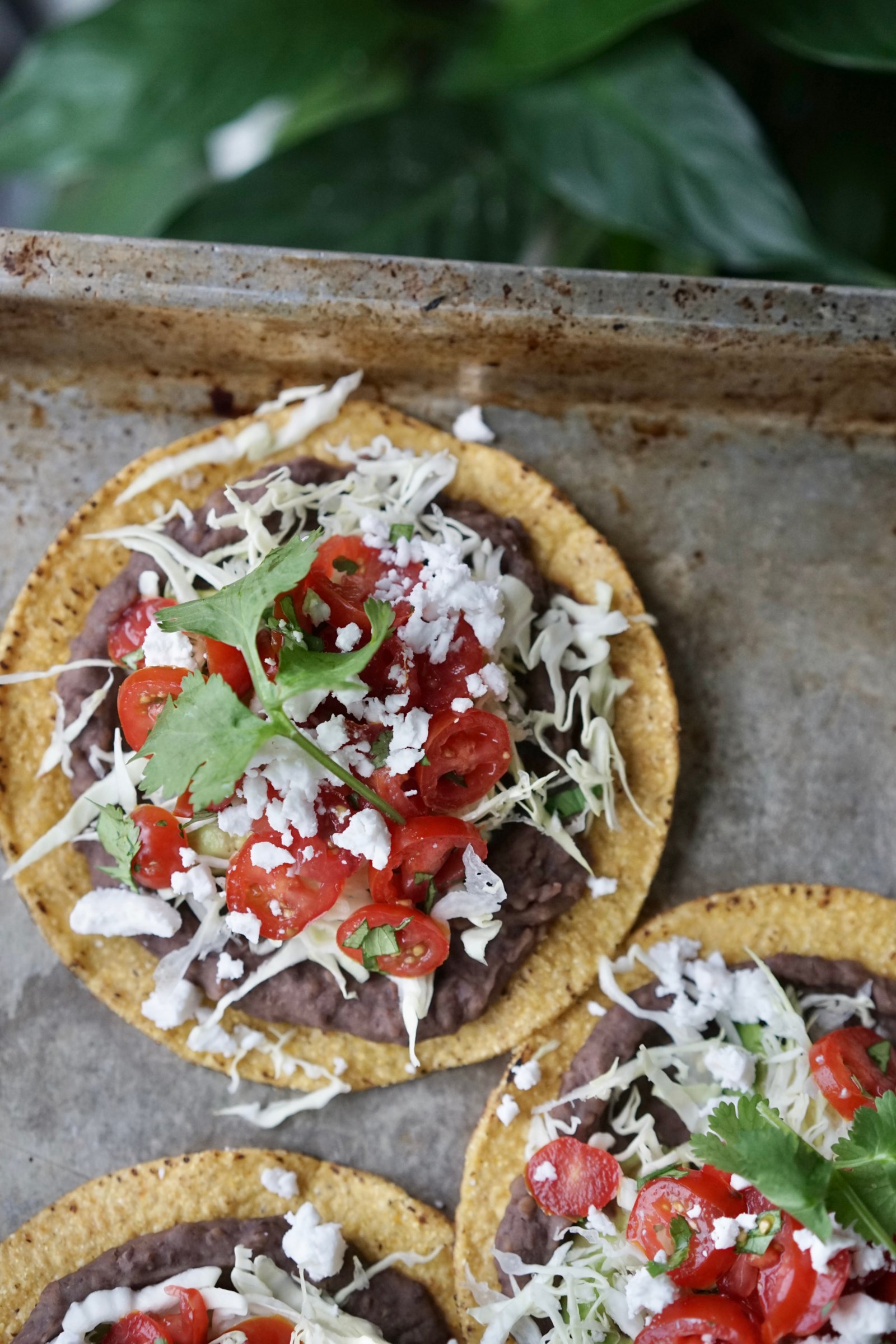 Easy Vegan Tostadas | Living Healthy in Seattle