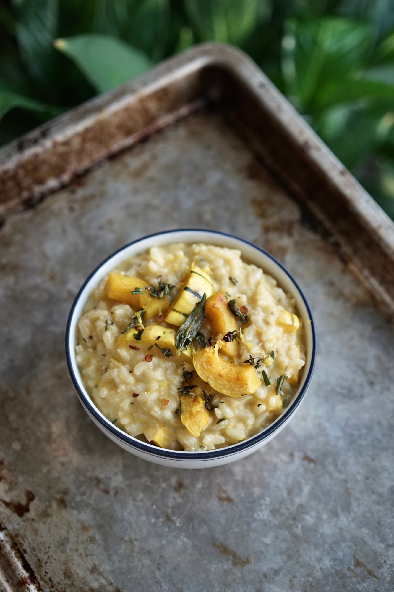 Vegan Roasted Delicata Squash Risotto with Fried Herbs | Living Healthy ...