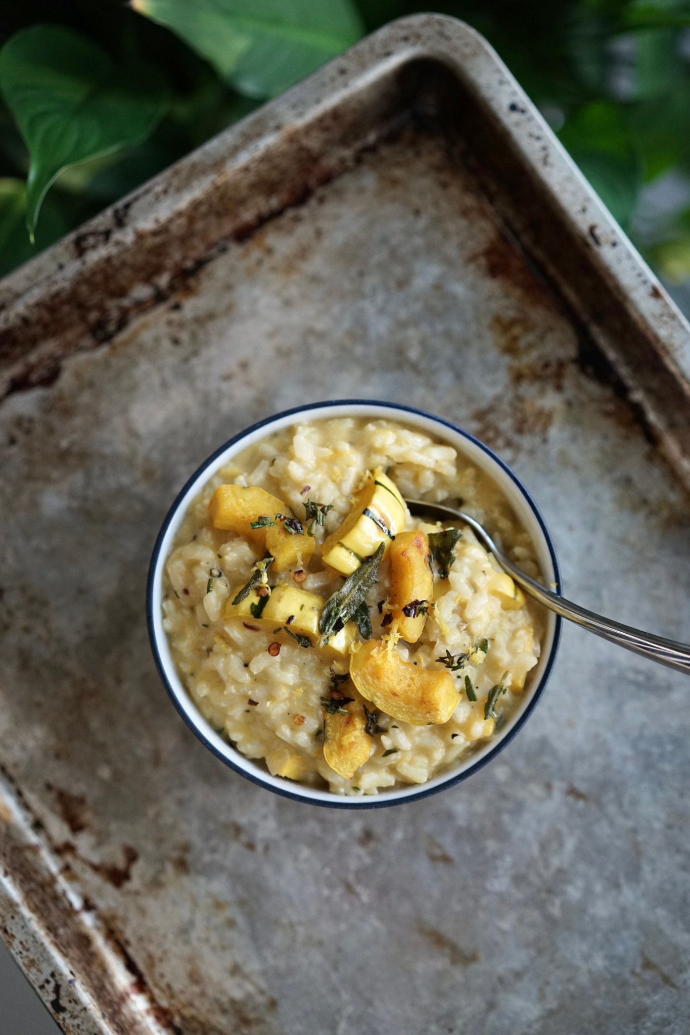 Vegan Roasted Delicata Squash Risotto with Fried Herbs | Living Healthy ...